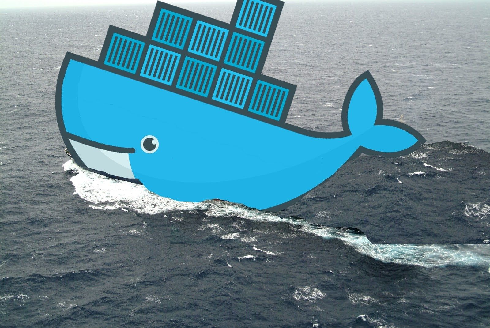 Drupal Wordpress Environment W Docker
